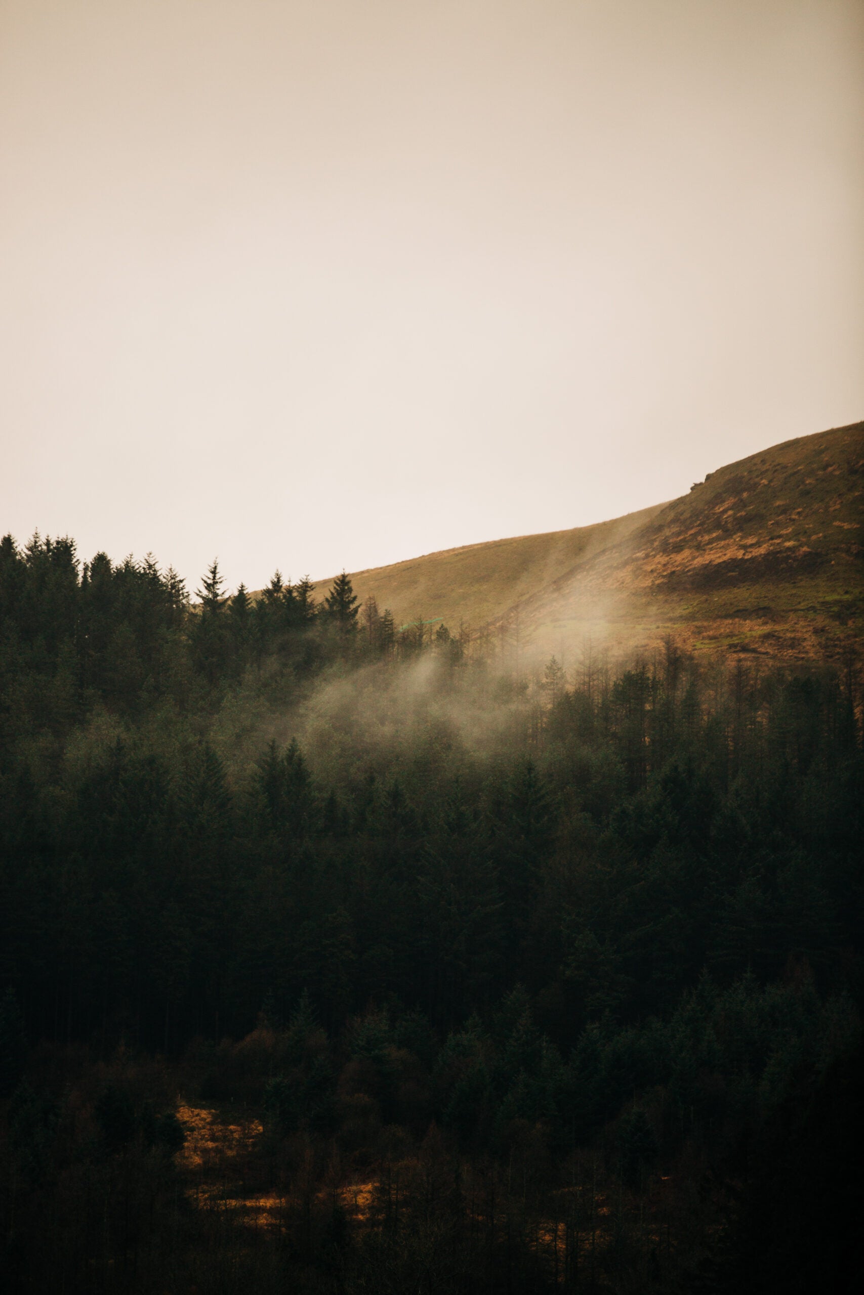 Ethical luxury for your skin, hair and fur | The Goodwash Company ...